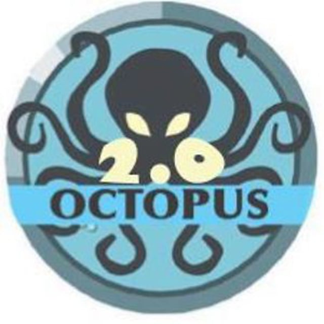 octopus