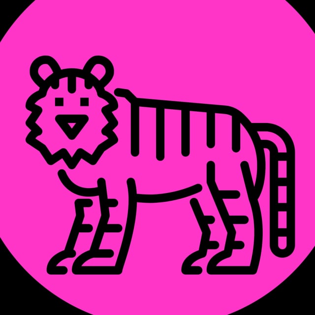 Tiger Darling - Content Development, Producer & Screenwriter