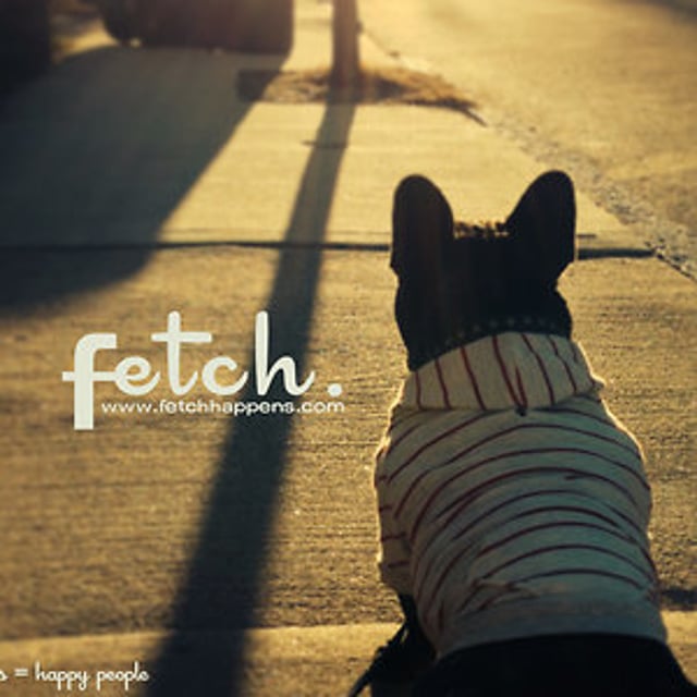 Fetch