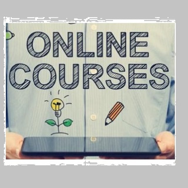 Online Professional Courses