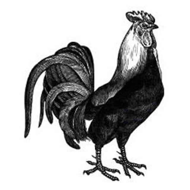 The Gallic Rooster