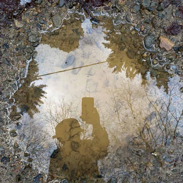 Julius Pfeiffer - Director