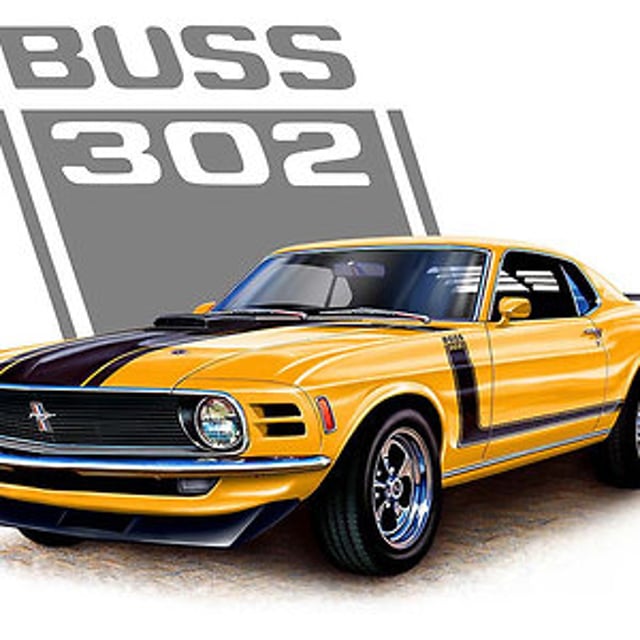 Jeff Buss - Director of Photography (DP) & Editor