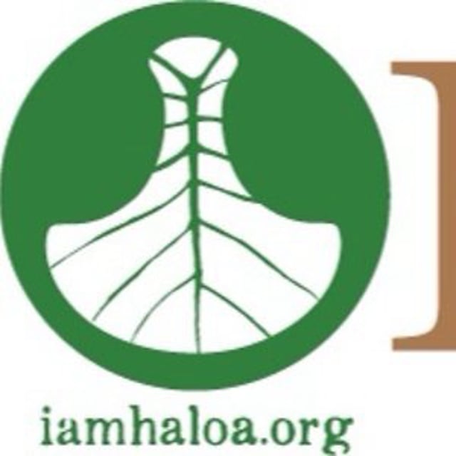 Haloa Nakalaukapalili