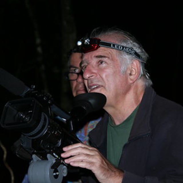 Peter Kuttner