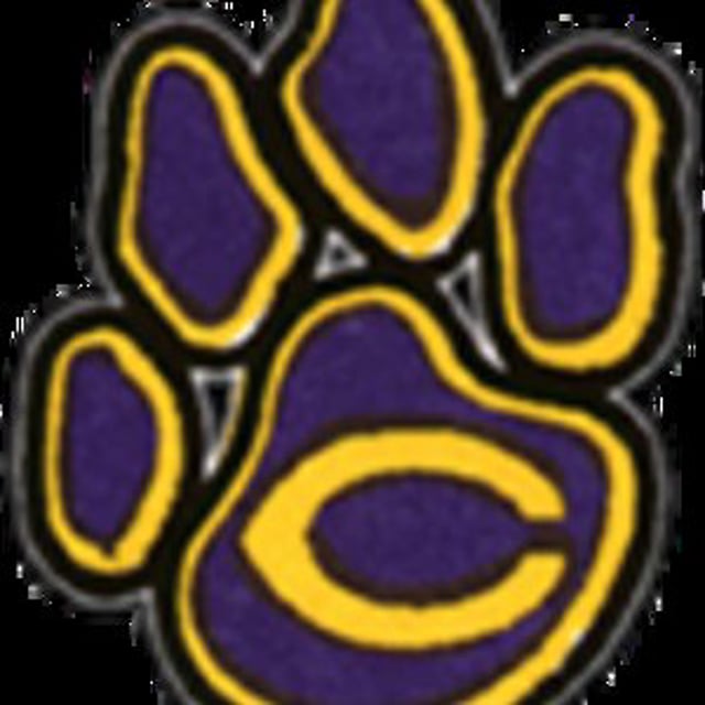 Custer School District