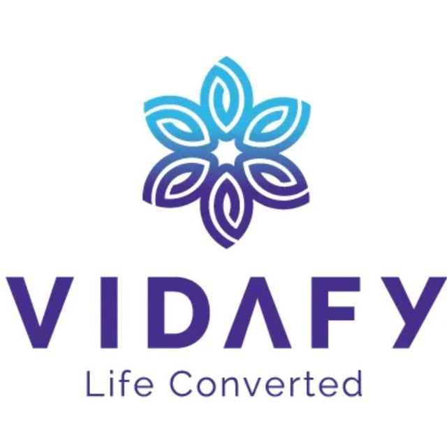 VIDAFY GLOBAL
