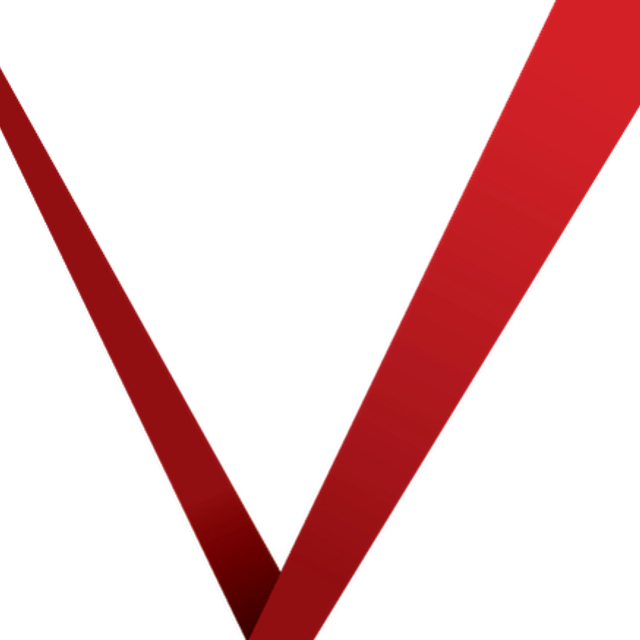 Visual Reflection - Director, Cinematographer & Video Editor