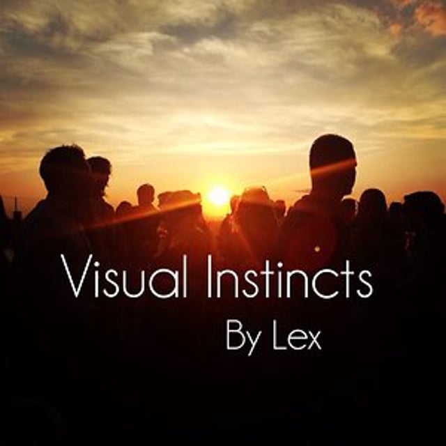 Visual Instincts By Lex