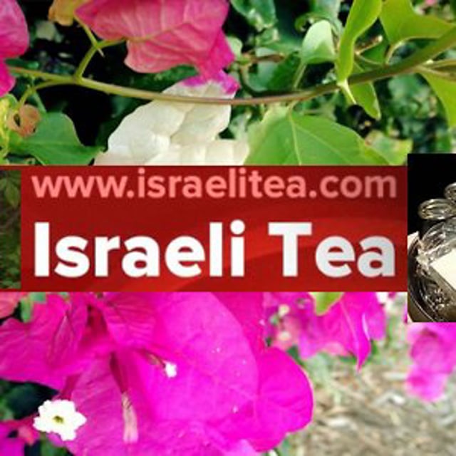 Israeli Tea Astrology