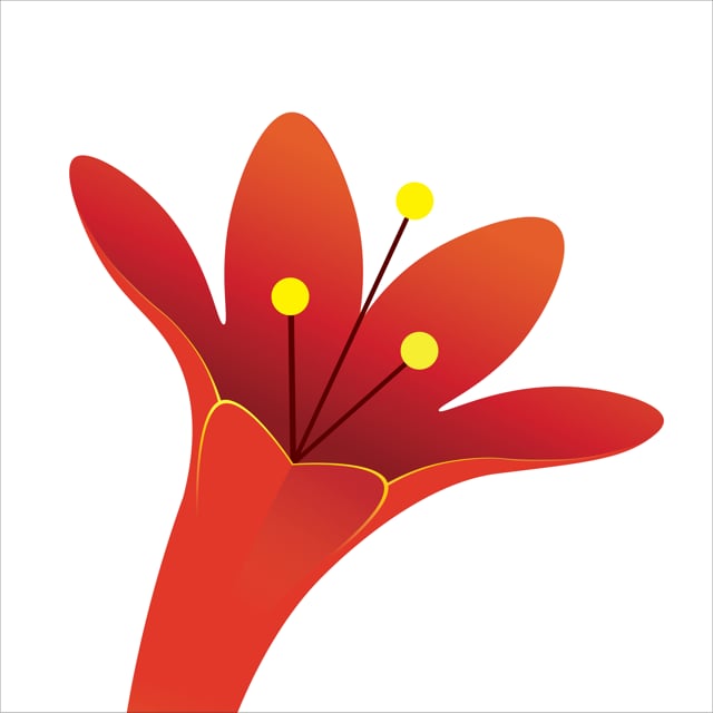Fire Lily Studio