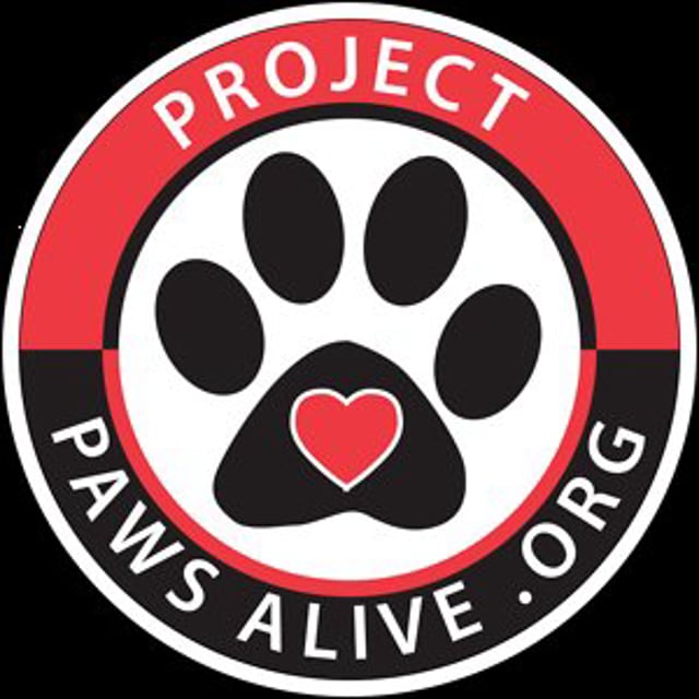 Project Paws Alive