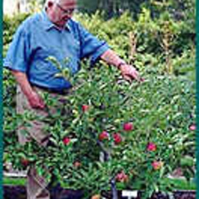 Midwest Fruit Explorers