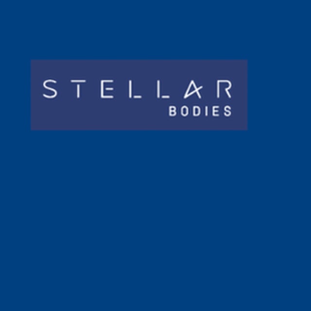 Stellar Bodies