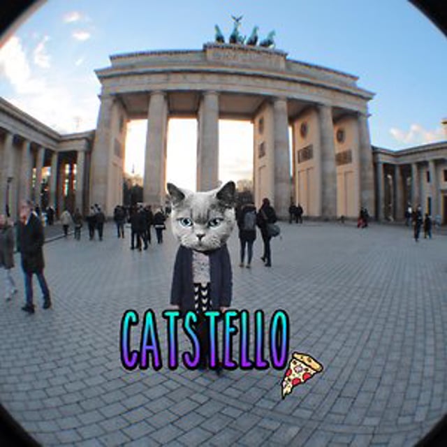 Catstello