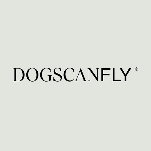 Dogs Can Fly Content Co.