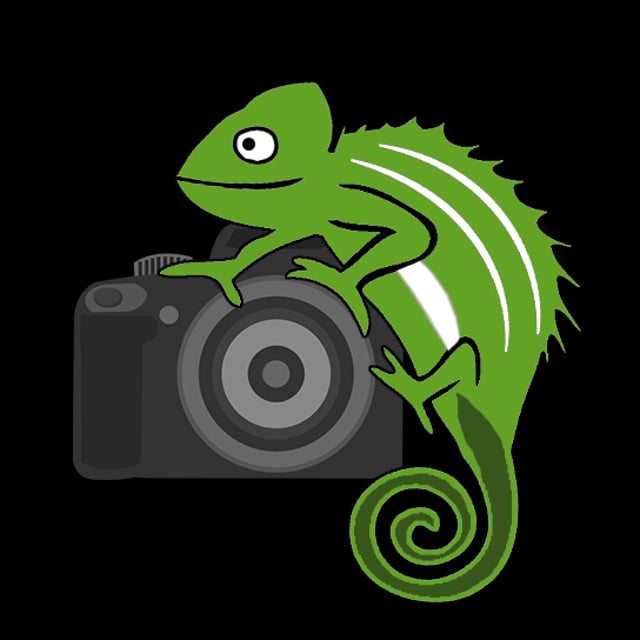 Adaptive Media Production Co