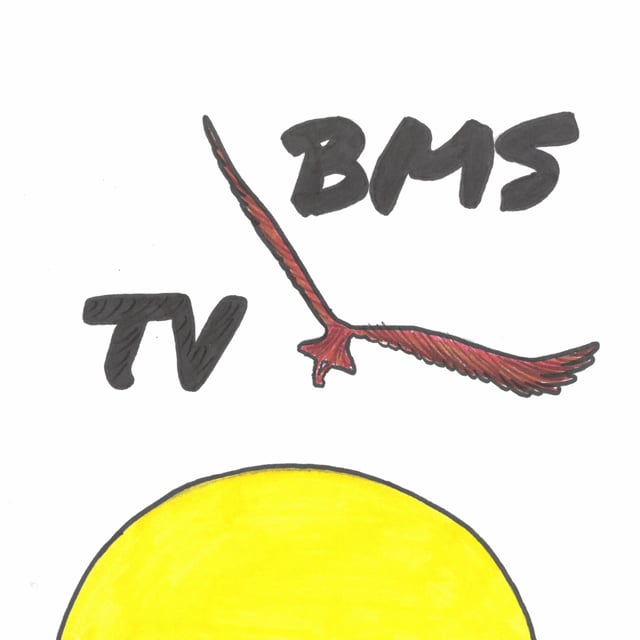 BMS TV