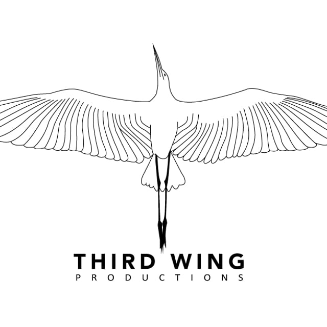 Third Wing Video Productions