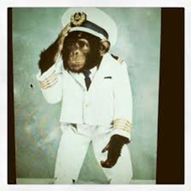 MONKEY CAPTAIN PRODUCTIONS