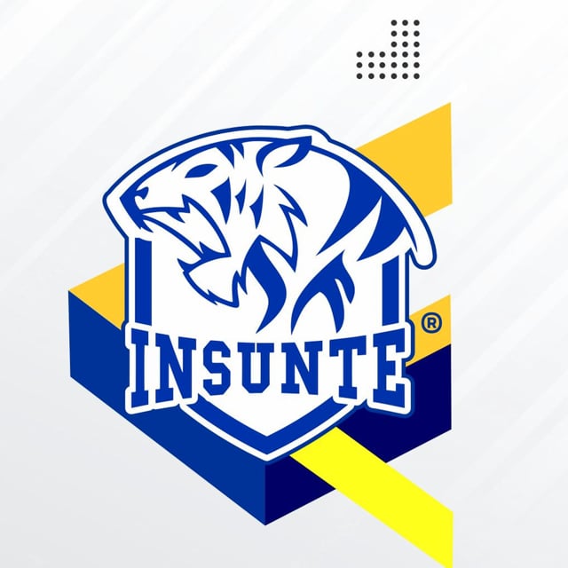 INSUNTE Universidad
