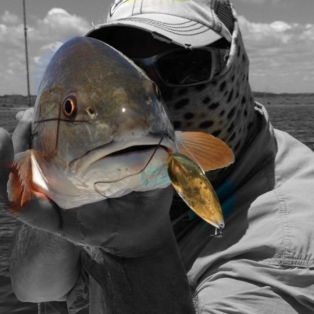 Mark Cisneros - Video Producer, Camera Operator & Video Editor