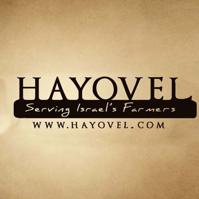 HaYovel