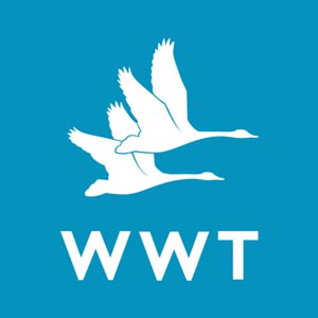 WWT
