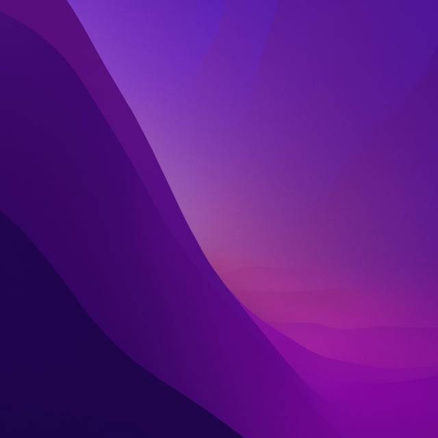 One Web Pack