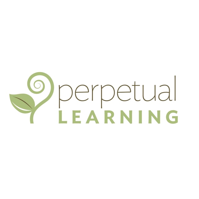 Perpetual Learning