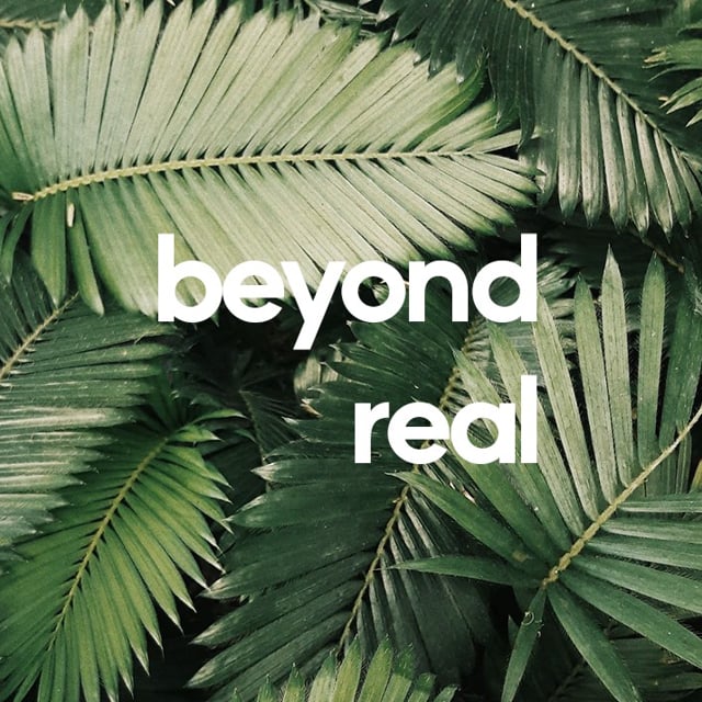 Beyond Real - Sound Designer, Sound Mixer & Sound Editor