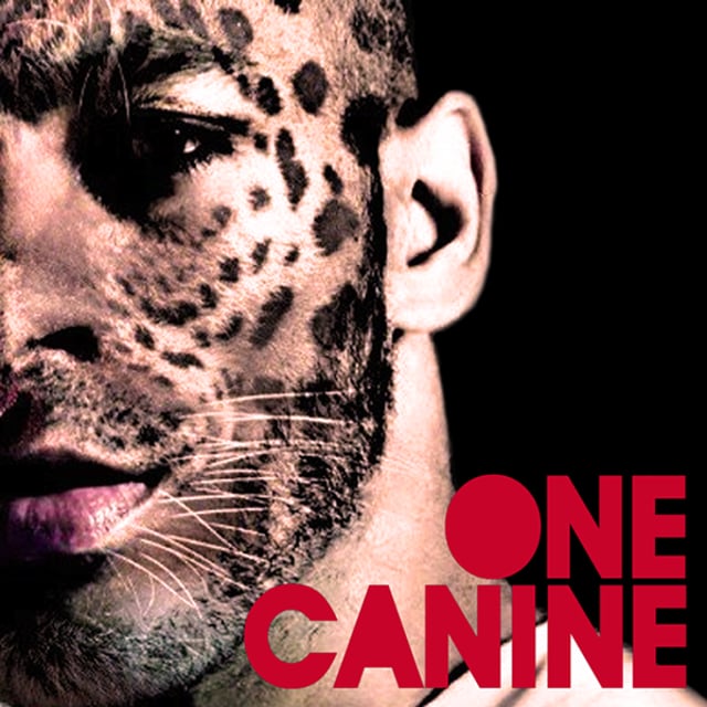 One Canine