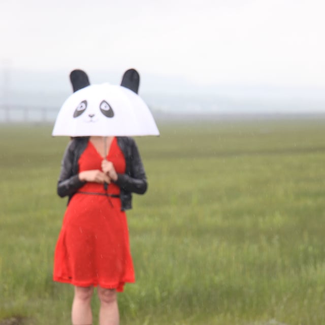 aude beauchamp-bourdeau