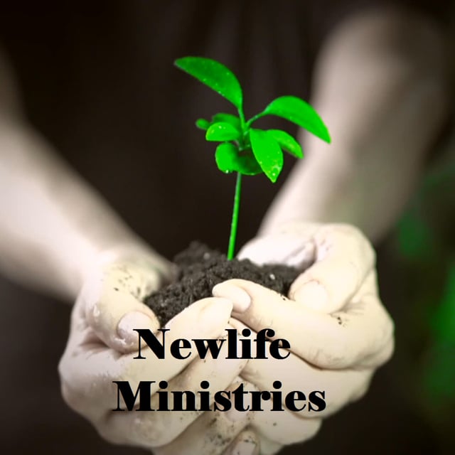 newLife Church Astoria