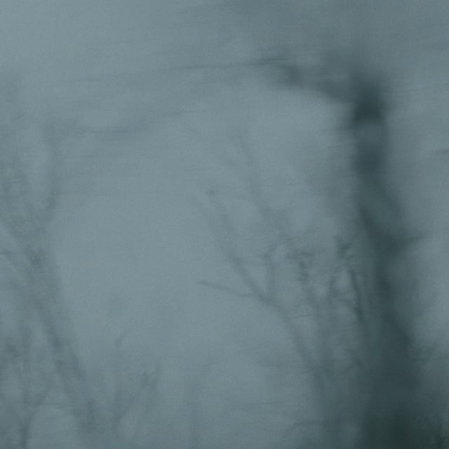 Blake Davey - Cinematographer