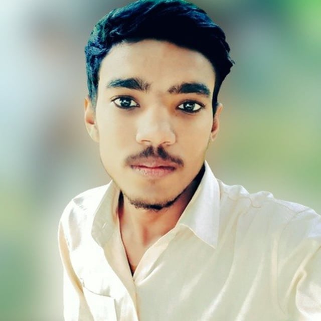 VISHAL MEENA PHAGI - Artist & Actor