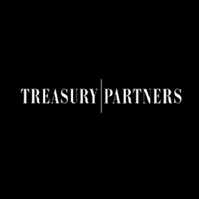 treasury partners