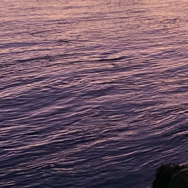 Vorren - Animator, Creative Director & Editor