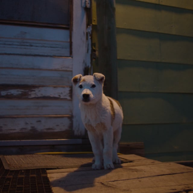 Ivan Shumaker - Director, Editor & Filmmaker