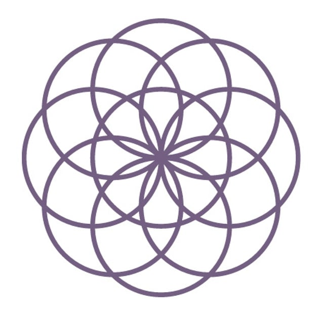 Raising Conscious Families