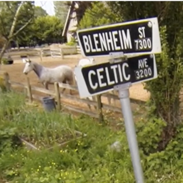 Celtic Farm