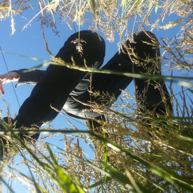 Dona Moth - Labs (Reportage)