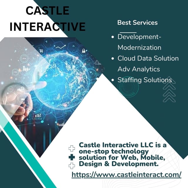 Castle Interactive LLC