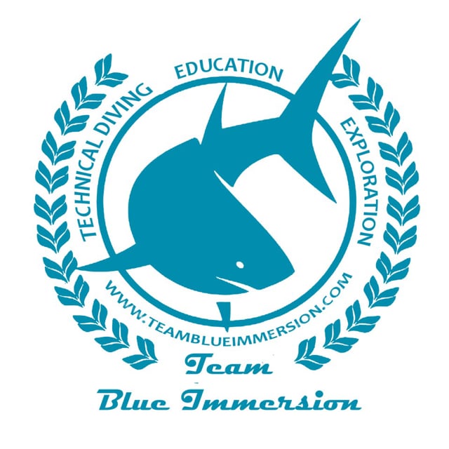 Team Blue Immersion