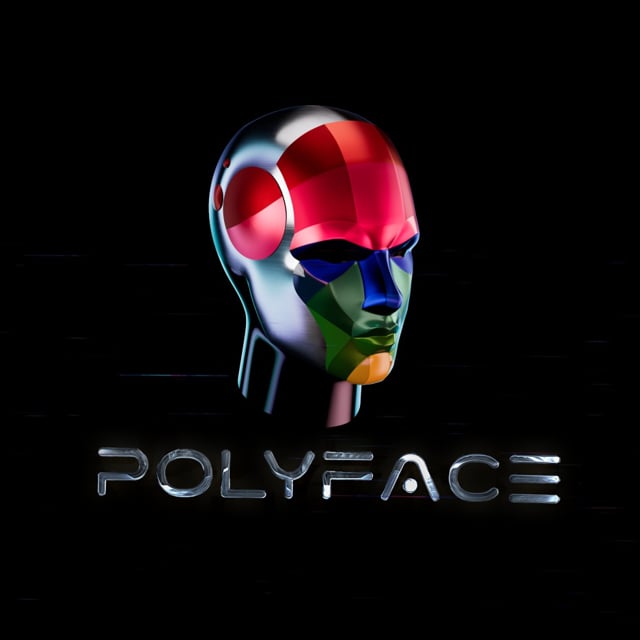 Polyface Studio