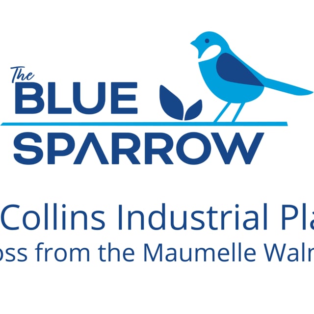 The Blue Sparrow