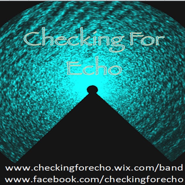 Checking For Echo