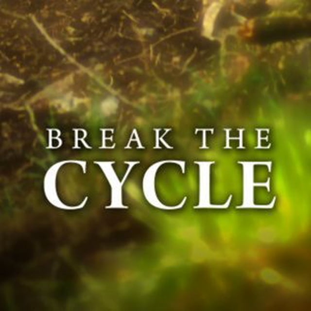 Break the Cycle