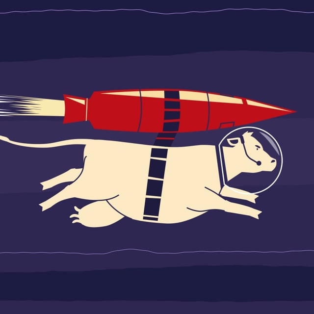Rocket Cow