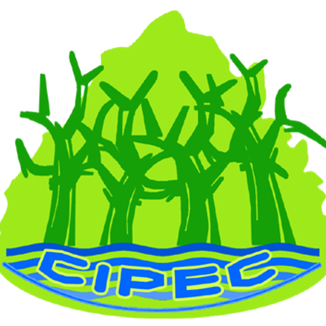 CIPEC GUATEMALA